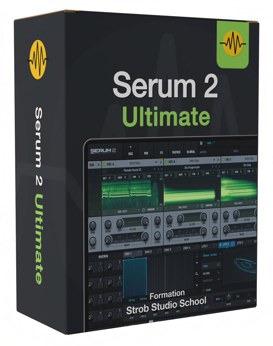 Strob Studio Formation – Strob Studio School